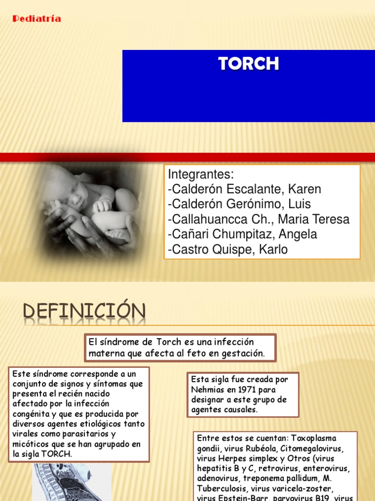 Torch | PDF | Virus | Herpes Simple