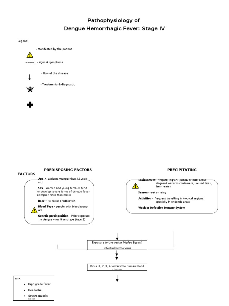 Pathophysiology of Dengue Hemorrhagic Fever - Doc (Phil) | PDF ...
