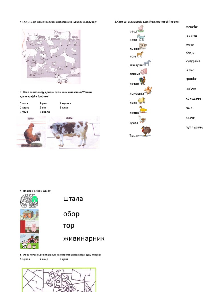 Domace Zivotinje | PDF