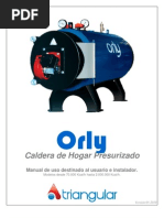 Partes de Una Caldera | PDF | Chimenea | Hogar