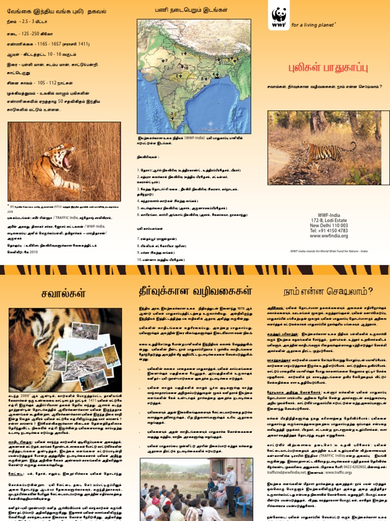 Tiger Conservation Brochure Tamil | PDF | Nature