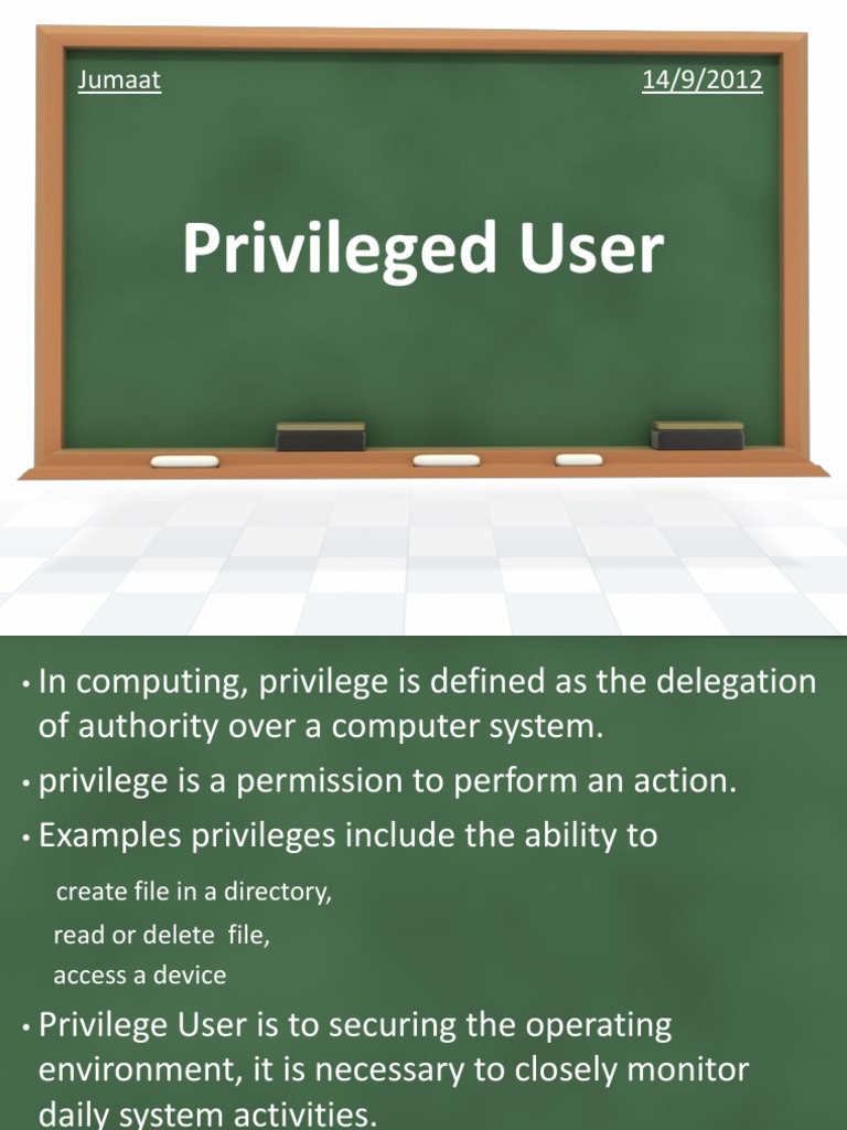 Privileged User | PDF
