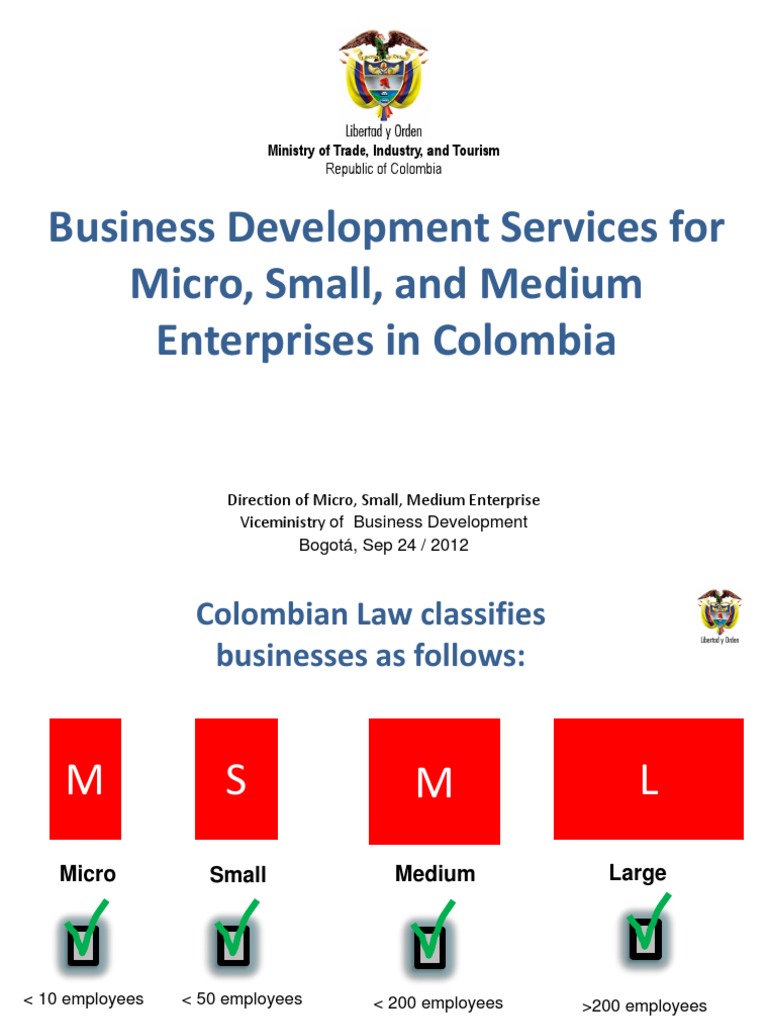 Presentacion Version Ingles | PDF | Venture Capital | Corporate Finance