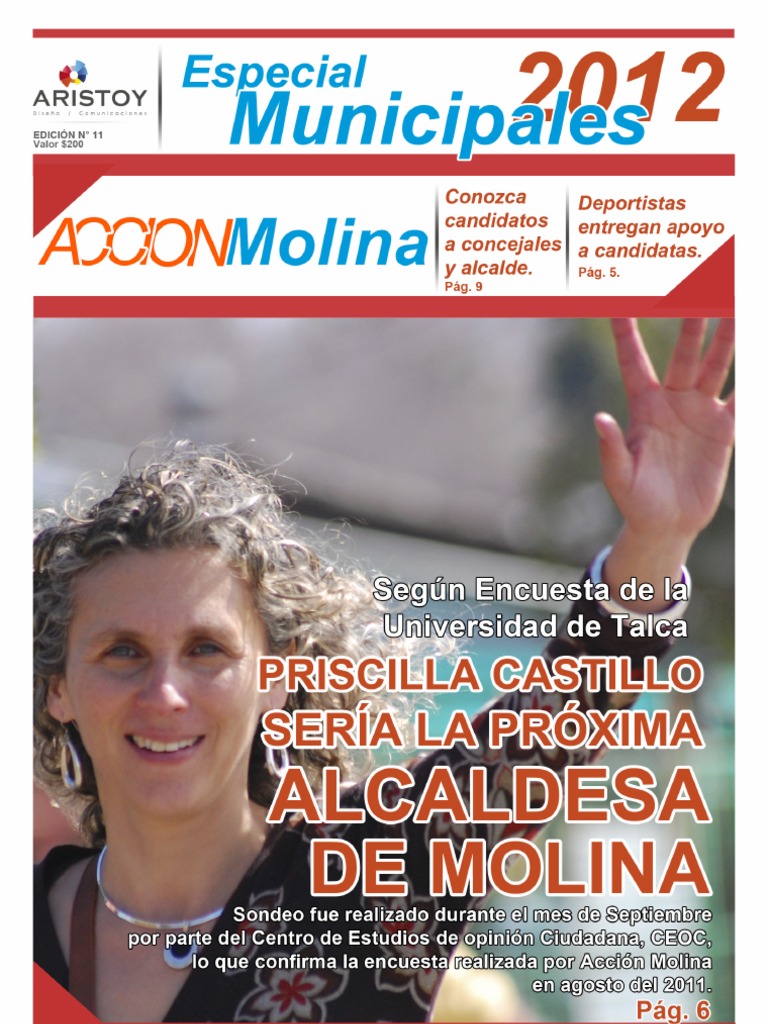 Priscilla Castillo y el Contexto Político | PDF | Encuesta de opinión ...