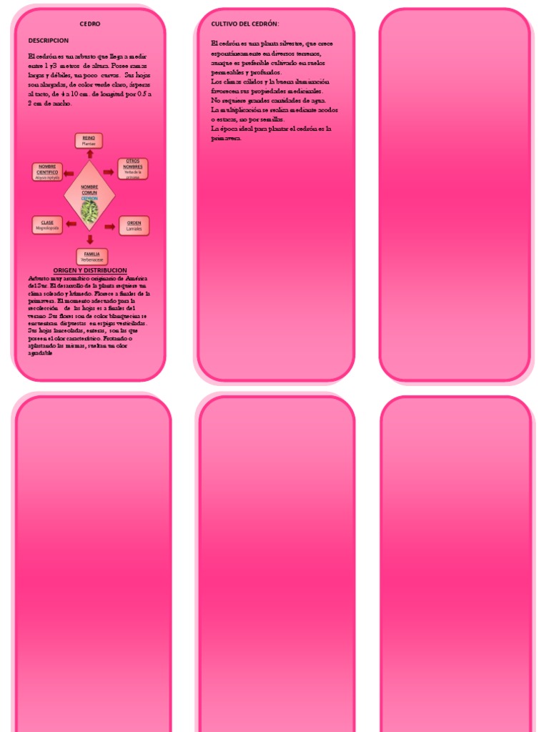 Triptico de Cedron | PDF