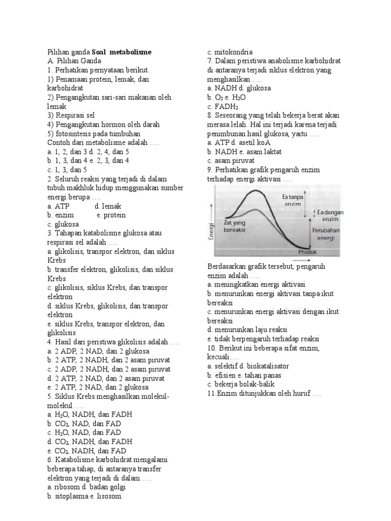 Pilihan Ganda Soal Metabolisme | PDF