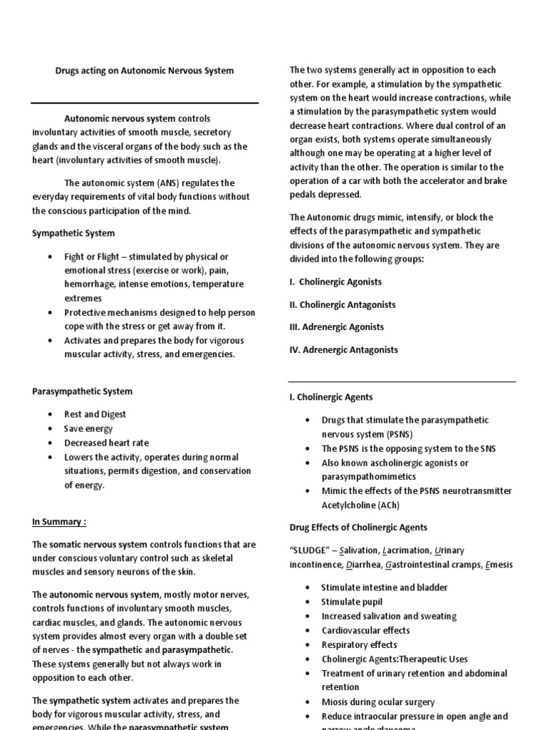 Autonomic Nervous System Handouts | Autonomic Nervous System ...