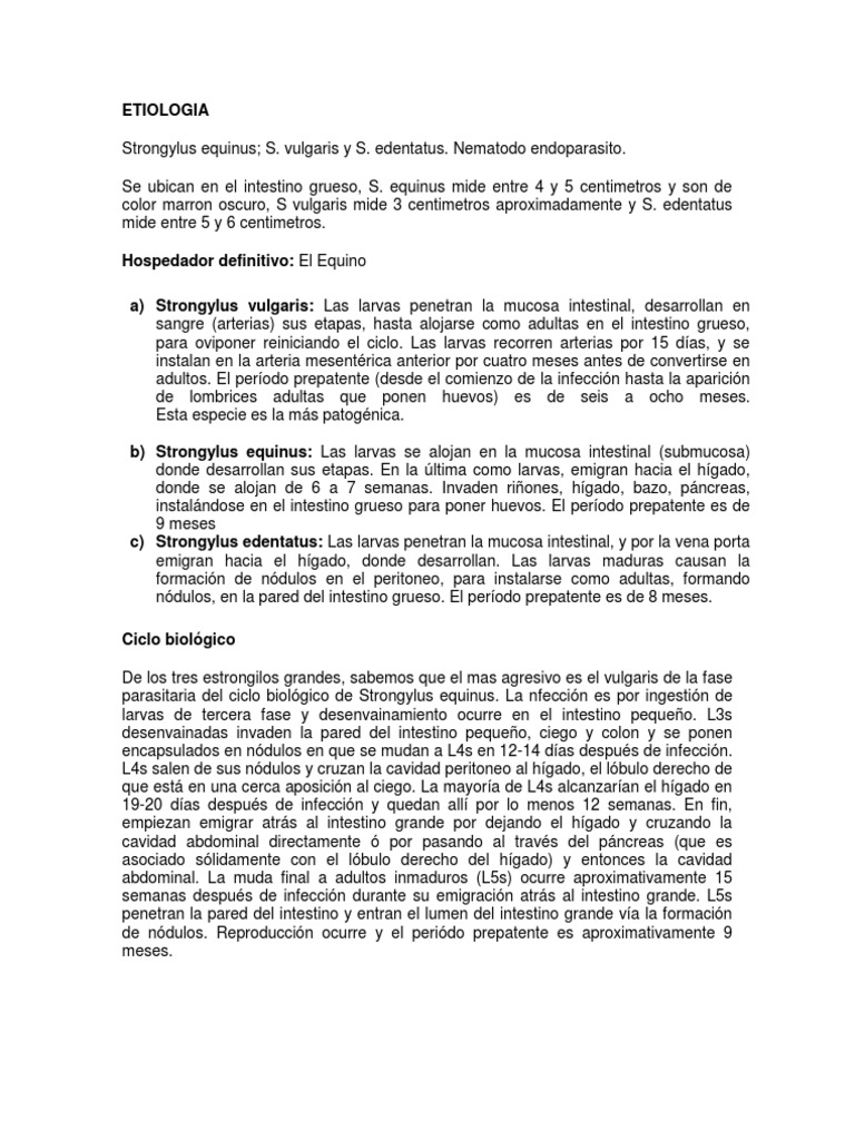 Strongylus en equinos: tipos y ciclo biológico | PDF | Intestino grueso ...