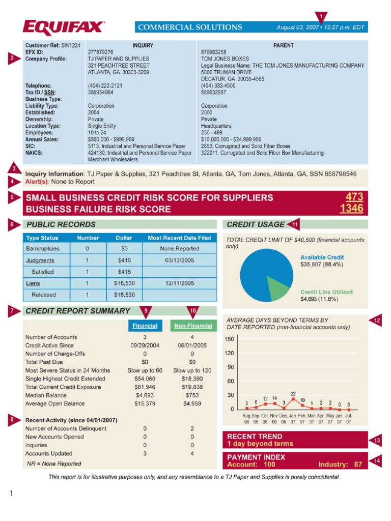 Sample Credit Report