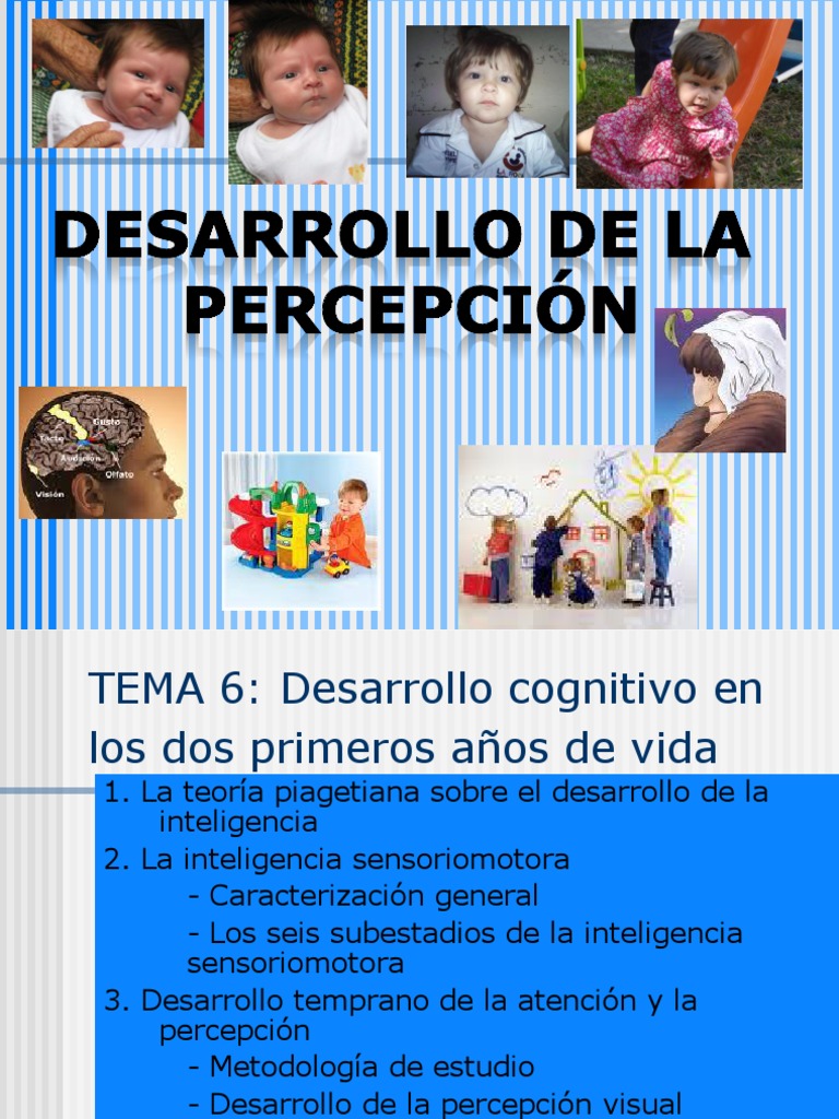 desarrollo de la percepción | Percepción visual | Percepción | Prueba ...