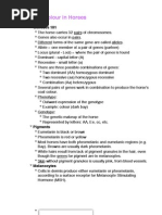 Triadan Tooth Numbering System | PDF