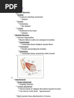 Understanding the Horse's Stay Apparatus | PDF | Skeletal System | Joints