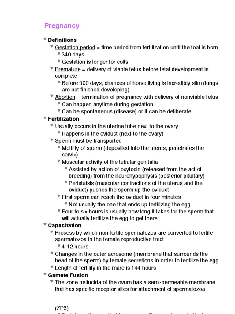 Equine Pregnancy | PDF | Uterus | Fertilisation