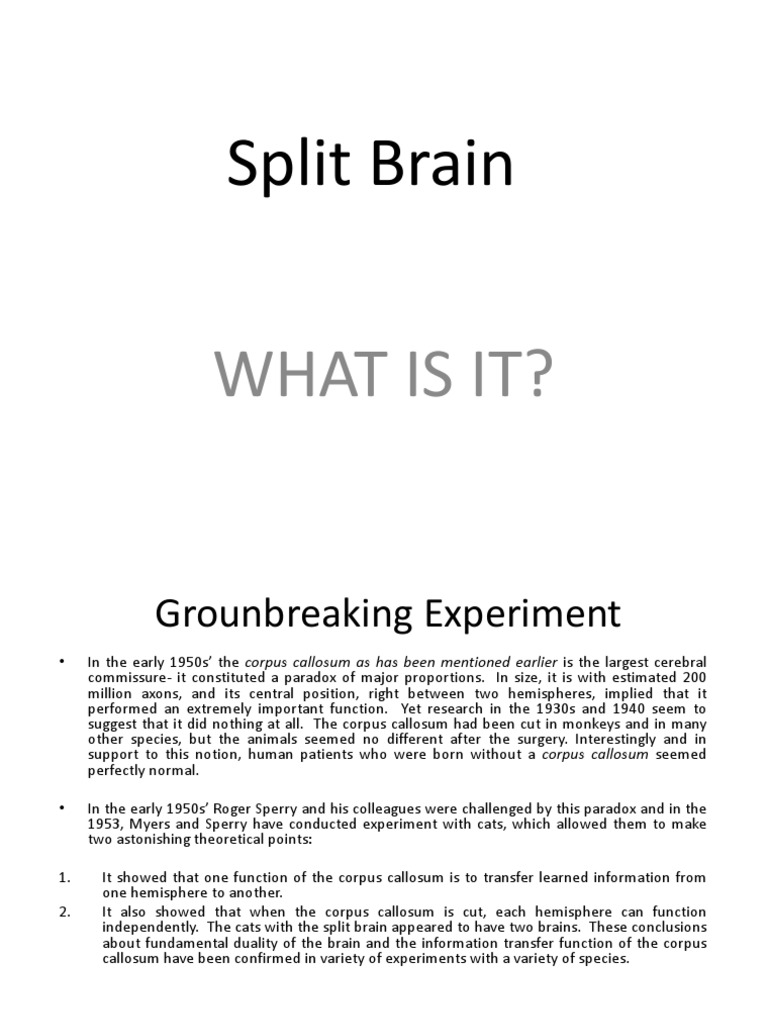 Insights from Split Brain Research | PDF | Lateralization Of Brain ...