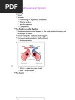 Understanding the Horse's Stay Apparatus | PDF | Skeletal System | Joints