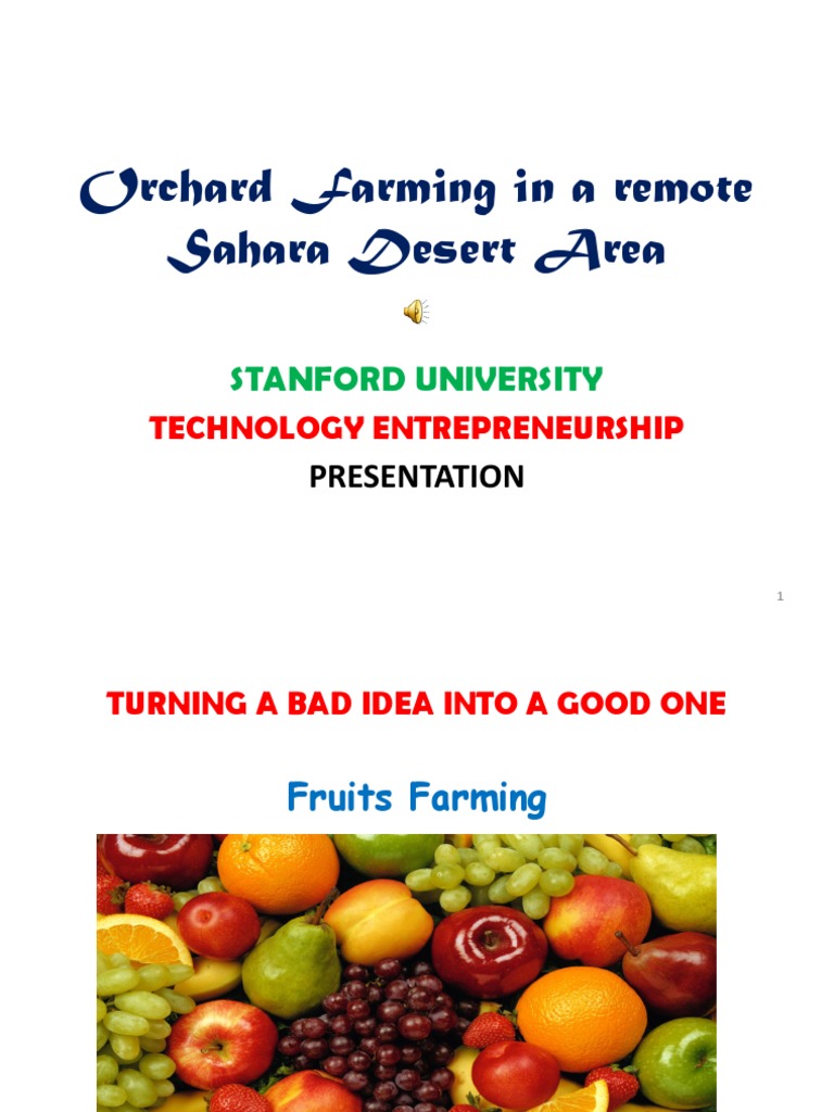 Orchard Farming in A Remote Sahara Desert Area | PDF
