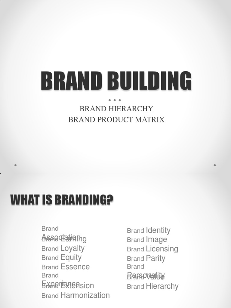 Hierarchy & Product MAtrix | PDF | Brand | Shampoo