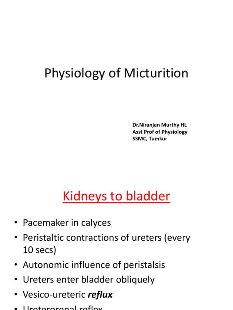 Physiology of Micturition | PDF | Wellness | Science & Mathematics