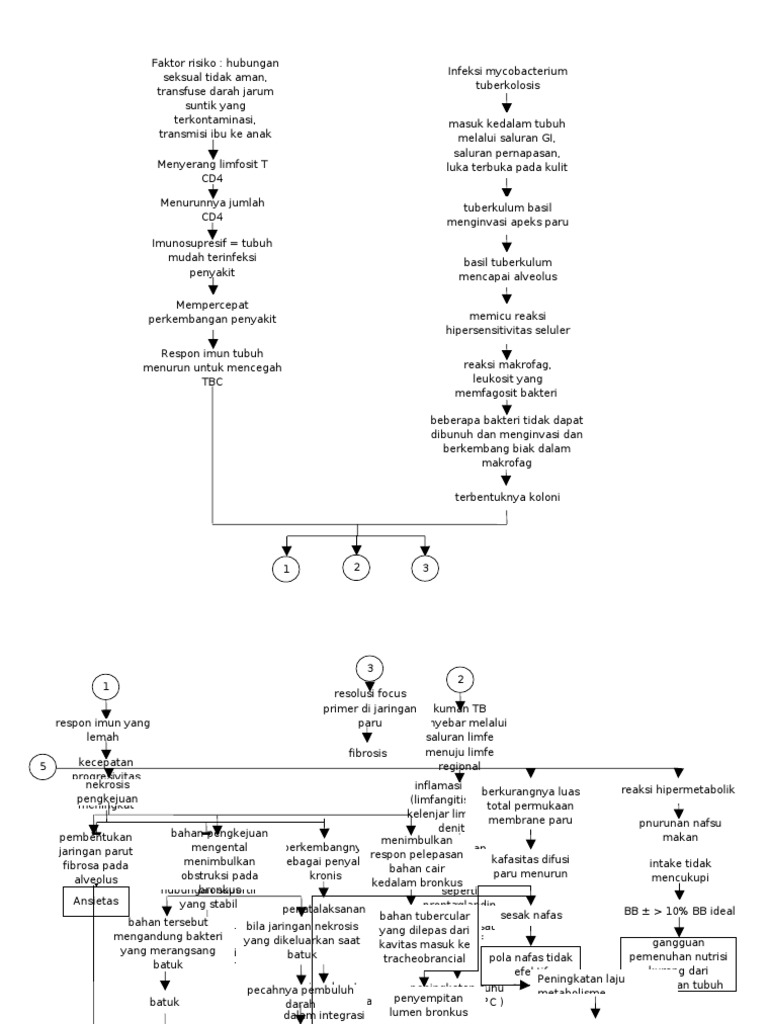 Pathway HIV TB | PDF