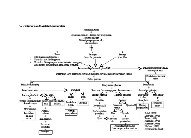 Pathway Partus Spontan