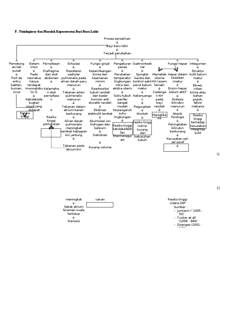 Pathway Bayi Baru Lahir | PDF