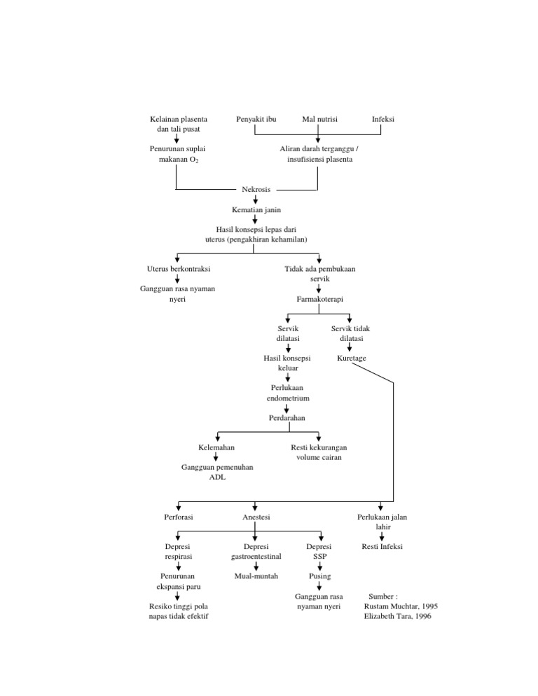 Pathway Intra Uteri Fetal Death