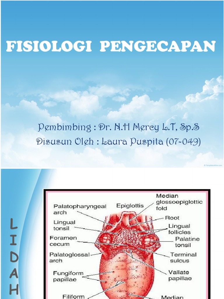 Fisiologi Pengecapan | PDF