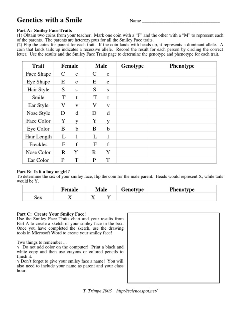 Smiley Face Lab | PDF