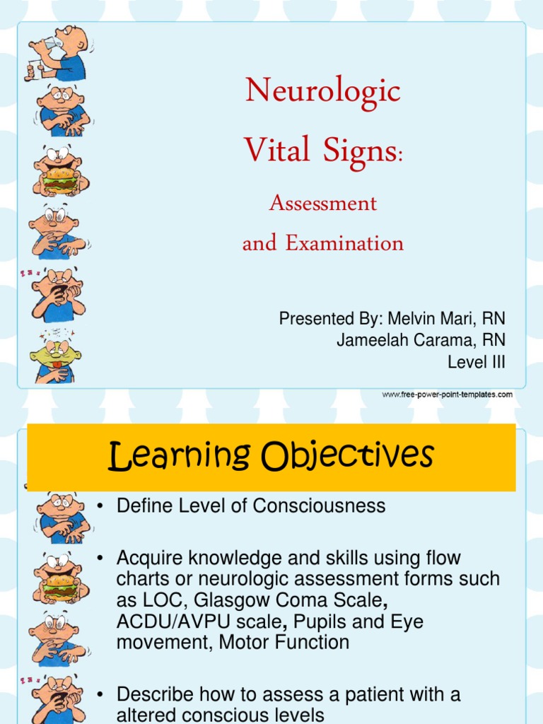 Nvs | PDF | Coma | Animal Anatomy