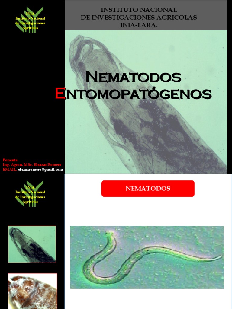Nematodos Entomopatogenos | PDF | Nematodo | Plaga (organismo)