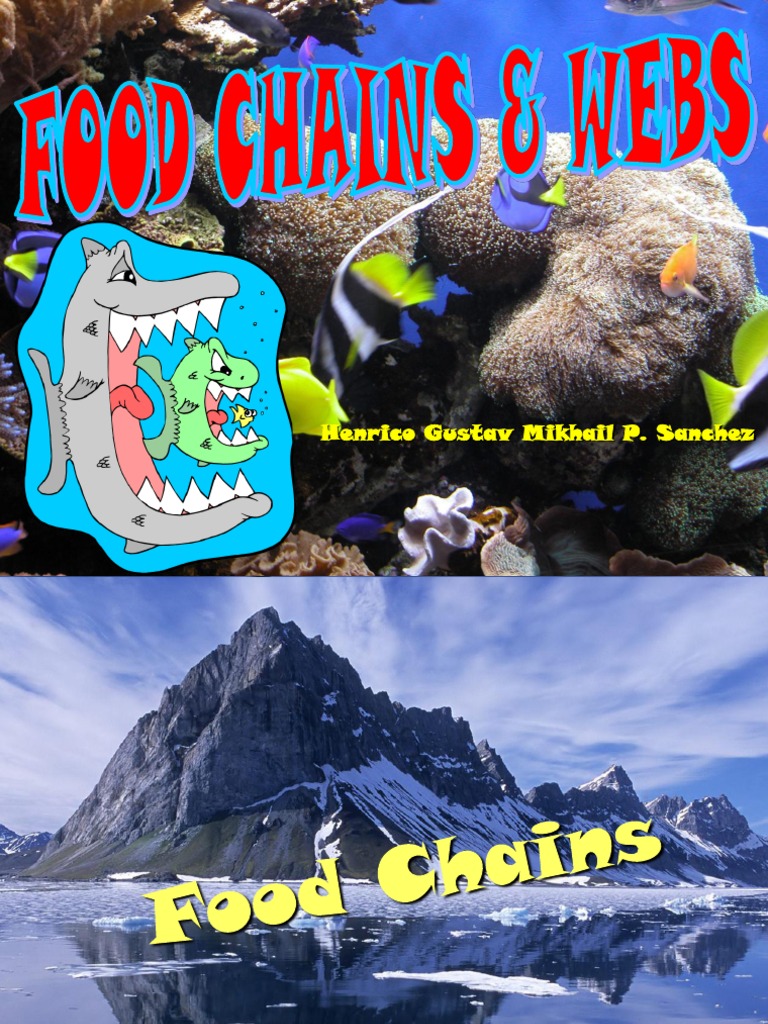Food Chains and Webs (v.2) | PDF