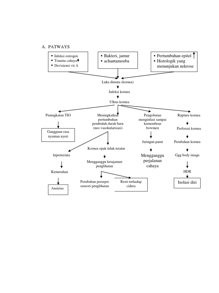 Pathway Ulkus Kornea | PDF