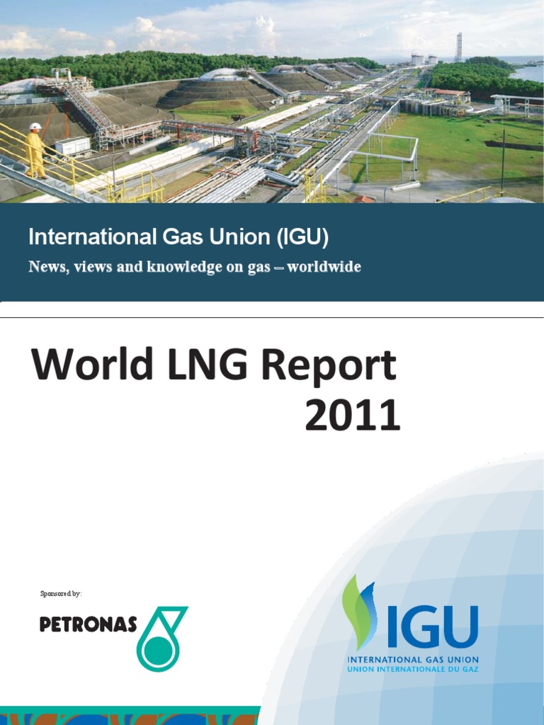 IGU World Report 2011 | PDF | Business | Technology & Engineering