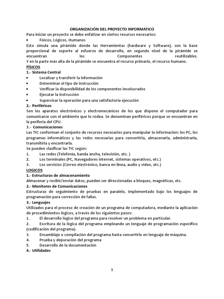 Organización Del Proyecto Informatico | PDF | Programa de computadora ...