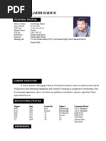 Sunil Resume 1 | PDF | Career & Growth