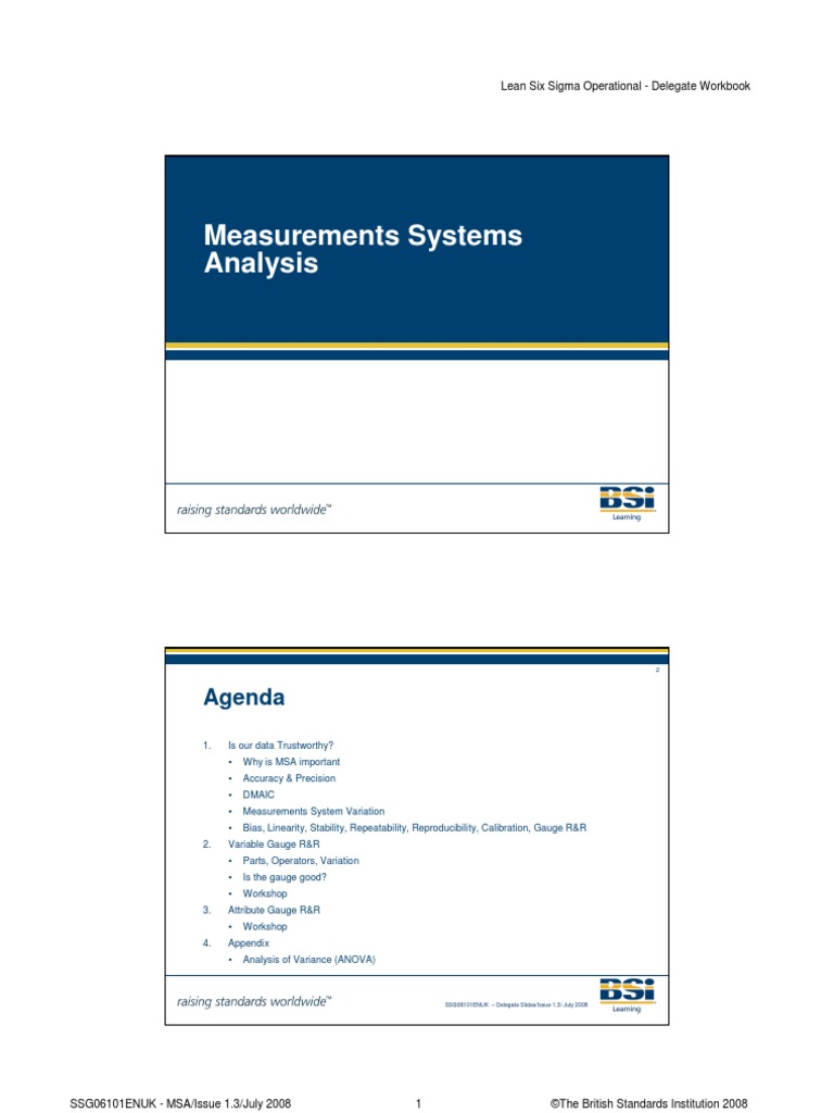 08 Measurement Systems Analysis | PDF
