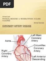 PNF For Lower Limb | PDF | Anatomical Terms Of Motion | Foot