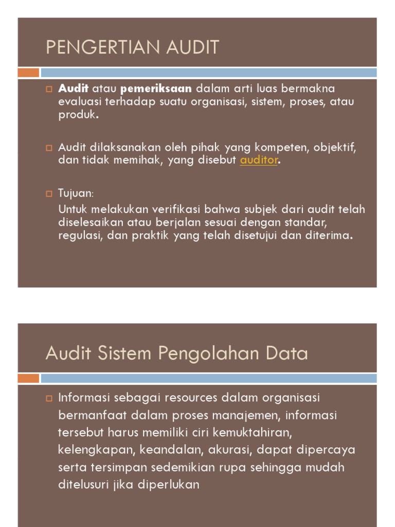 Audit SIM | PDF