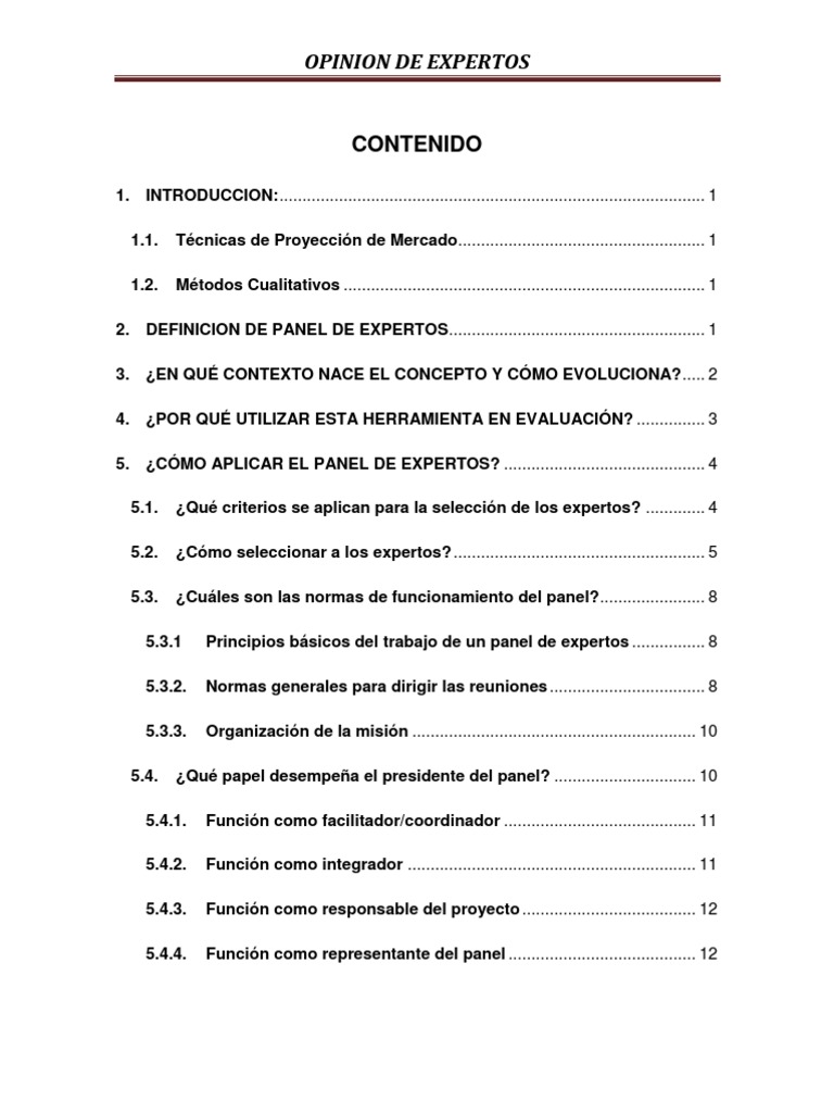 Panel de Expertos | PDF | Grupo de trabajo | Evaluación