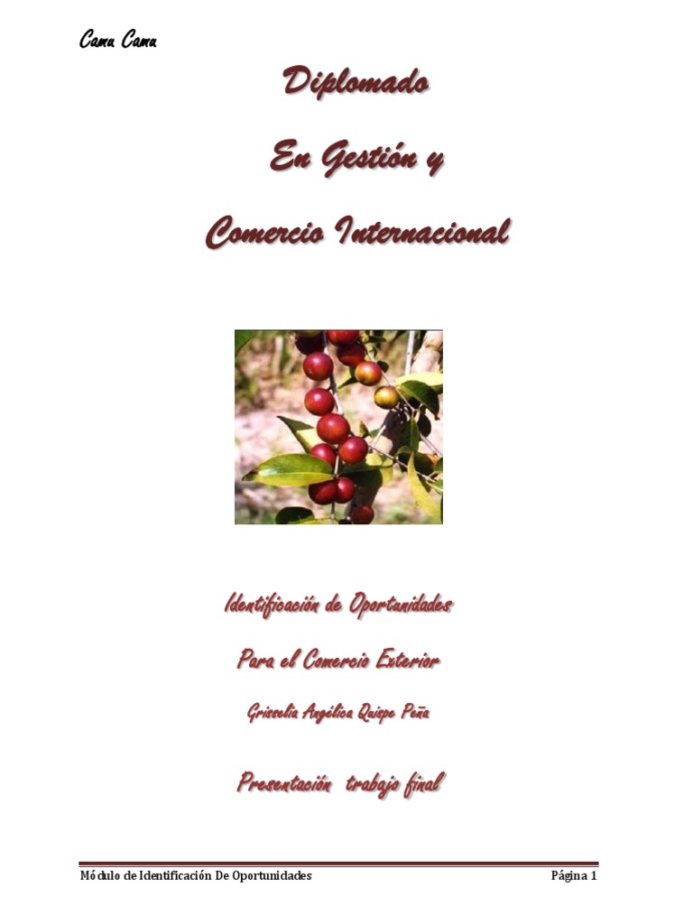 Trabajo Final FINAL Mod 2 Camu Camu. Origdocx | PDF | Los Estados Unidos | Exportaciones