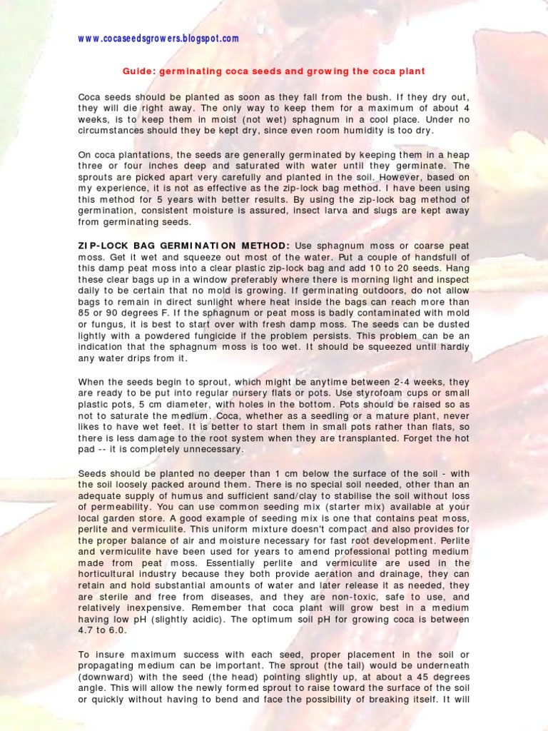 Coca Seeds, How To Grow, Guide. | PDF | Organic Matter | Moss