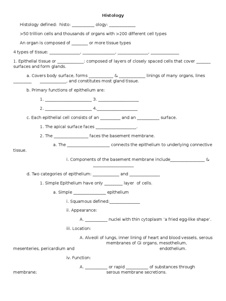 Histology Notes | PDF | Epithelium | Connective Tissue
