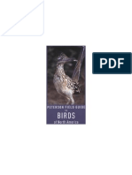 UK Gull Identification Guide | PDF | Gull | Birds