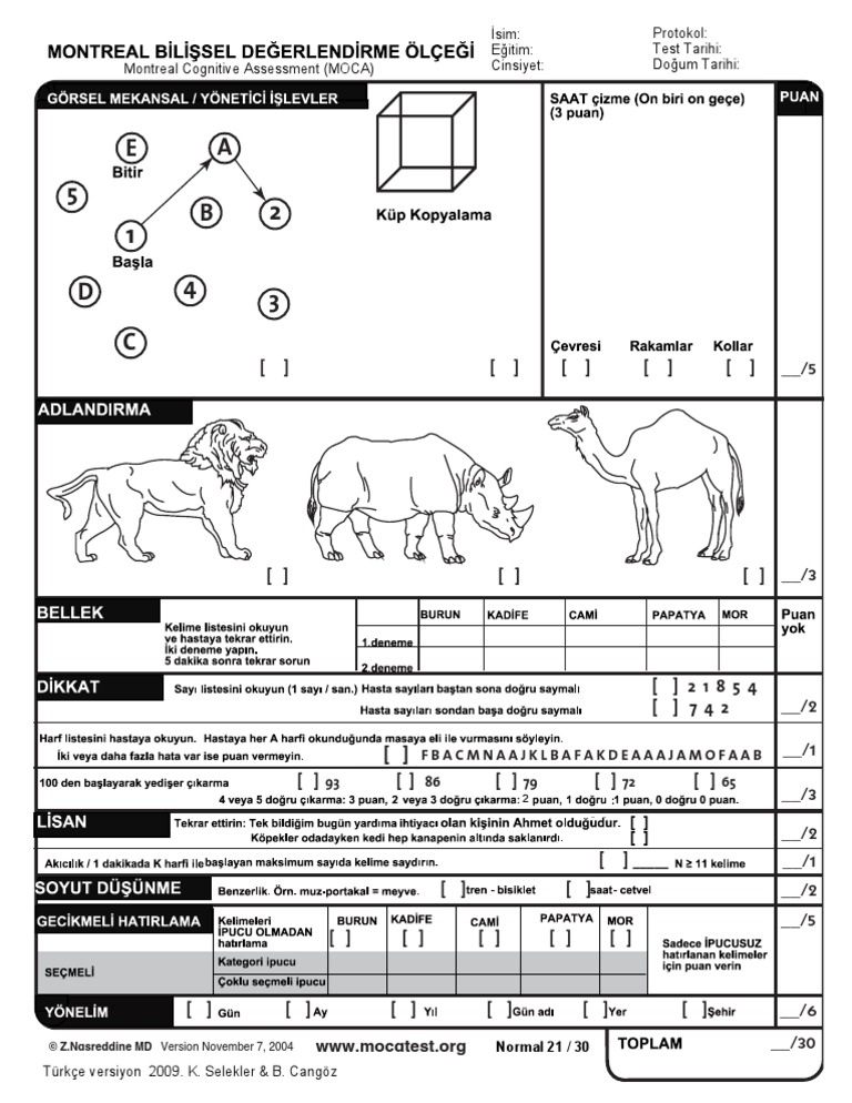 MOCA Test Turkish | Neuropsychology | Nervous System