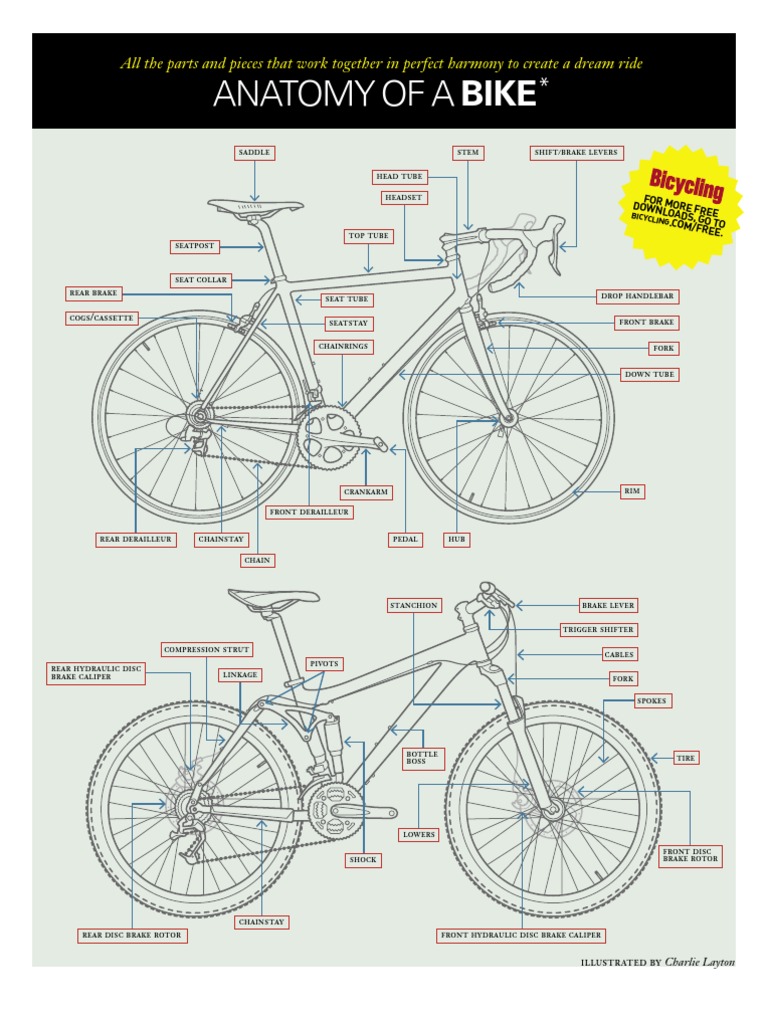 Bike Anatomy | PDF