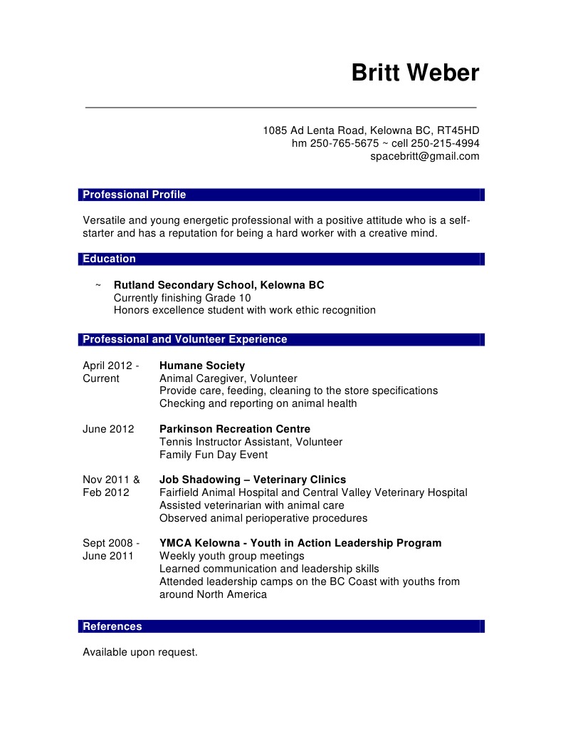 Britt Weber: Versatile Young Professional Profile | PDF