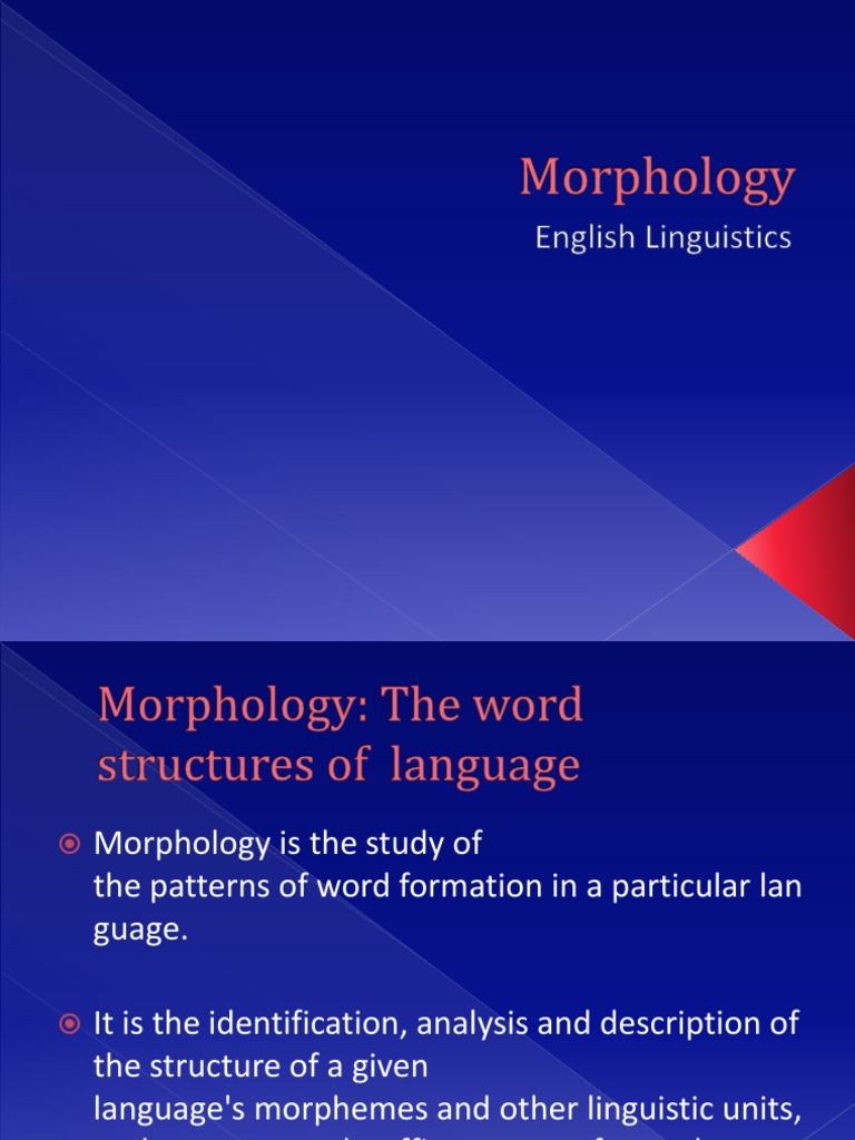 Morphology - English Linguistics | PDF | Morphology (Linguistics) | Word