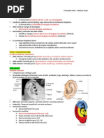 Anatomia de La Audicion | PDF | Hueso | Membrana mucosa