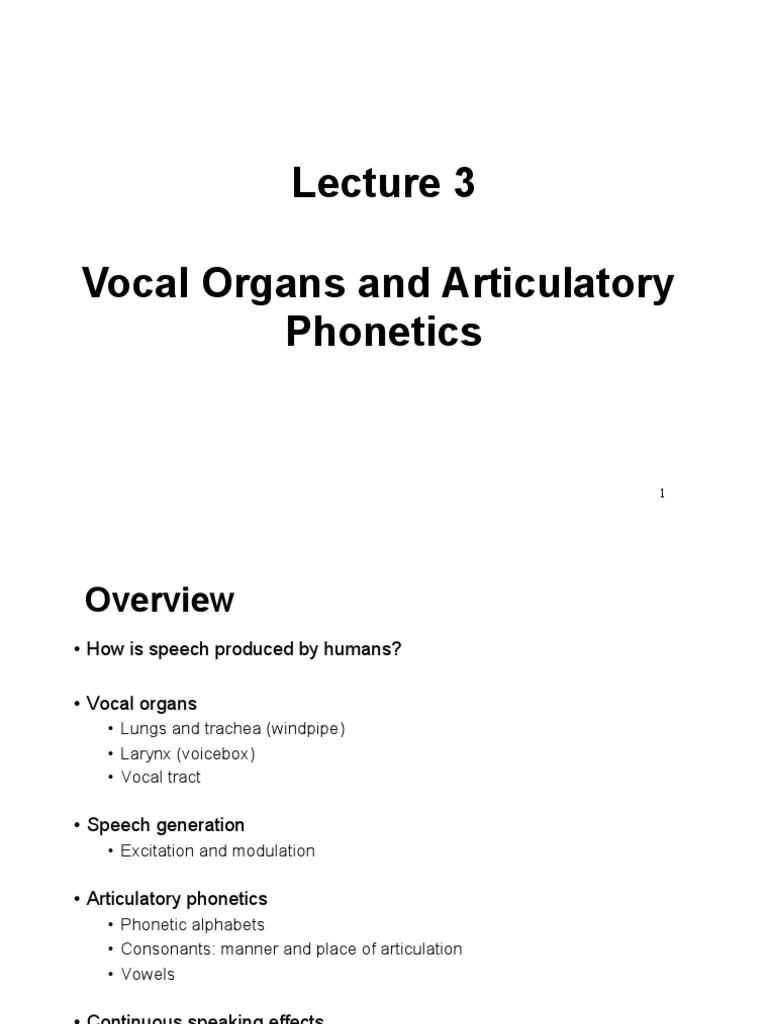 Lecture 3 Articulatory Phonetics | PDF | Larynx | Phoneme