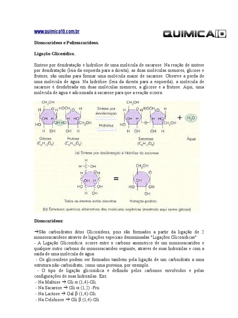 Dissacarideos Polissacarideos e Digestao Dos Carboidratos | PDF ...